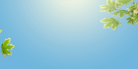DistillerSR | Systematic Review Software | Literature Review Software